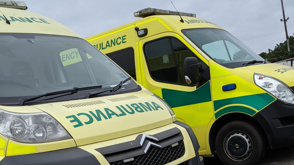 Revive EMS